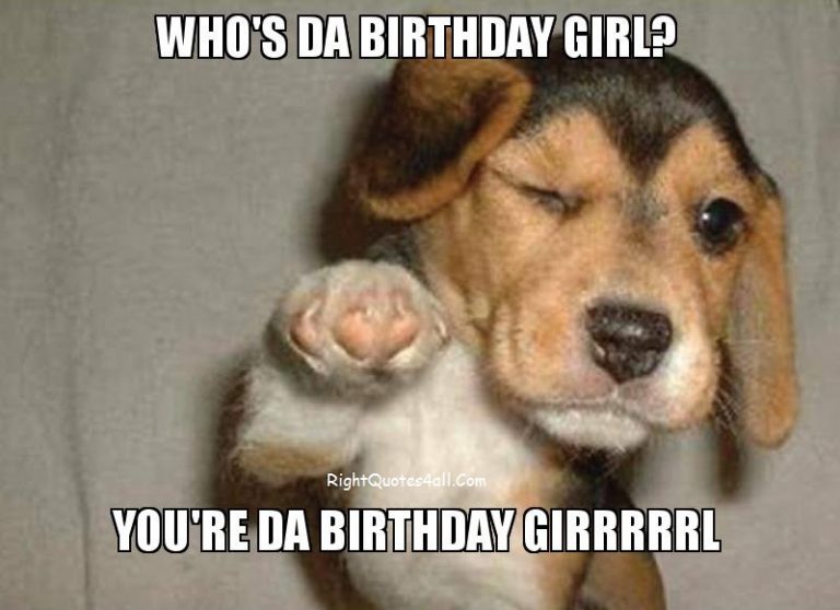 Top 10 Funny Happy Birthday Memes